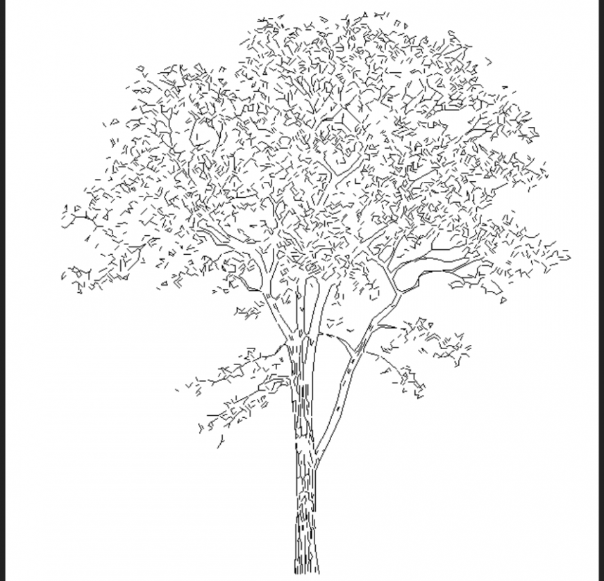 The Front Elevation Of Tree Detail Dwg File Cadbull