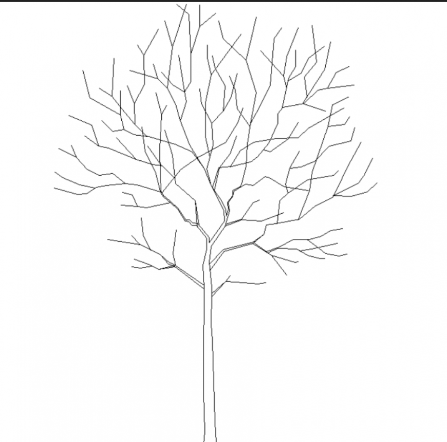 Two coconut tree elevation block drawing details dwg file - Cadbull Two coconut tree elevation block drawing details dwg file - Cadbull