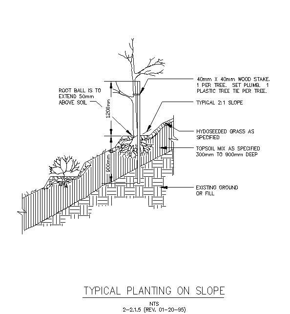 Typical Planting On Slope In AutoCAD File Download - Cadbull Typical Planting On Slope In AutoCAD File Download - Cadbull