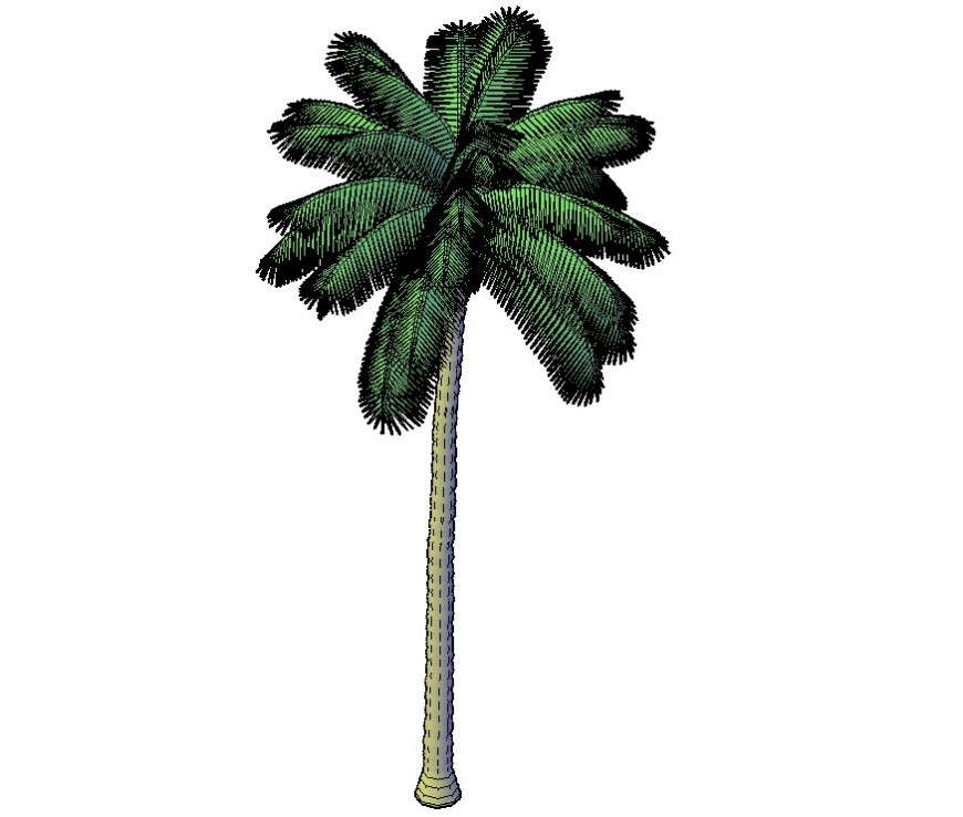 Palm Tree Autocad Block