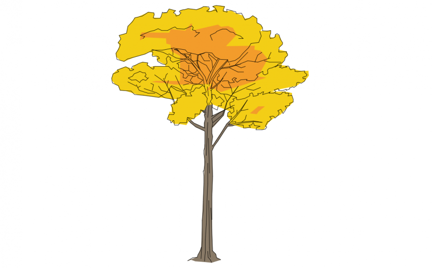 Creative color tree elevation 2d block drawing details dwg file - Cadbull