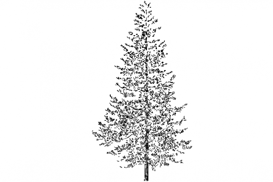 Ice tree elevation block cad drawing details dwg file - Cadbull