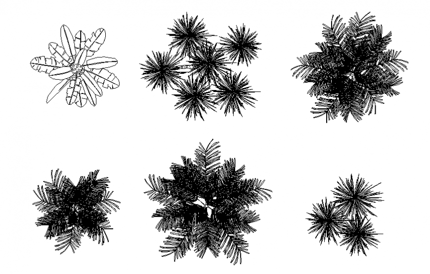 Palm tree top view elevation cad block details dwg file - Cadbull Palm tree top view elevation cad block details dwg file - Cadbull