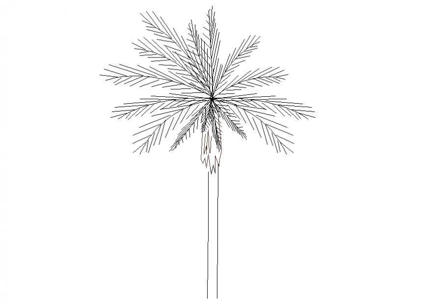 Unique palm tree front elevation cad block details dwg file - Cadbull Unique palm tree front elevation cad block details dwg file - Cadbull